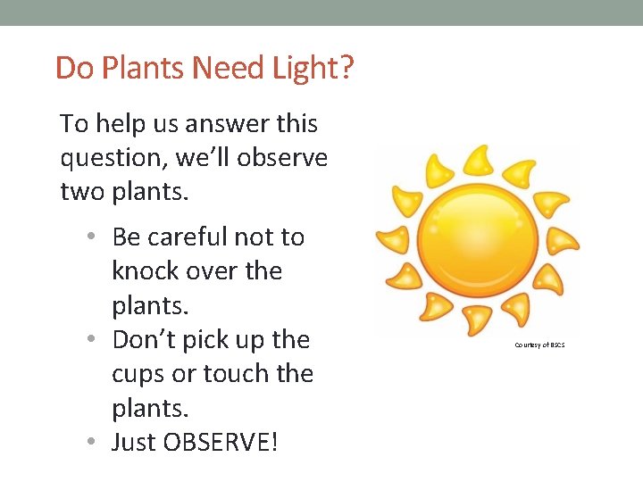 PLANTS AND ANIMALS LESSON 3 B How Can