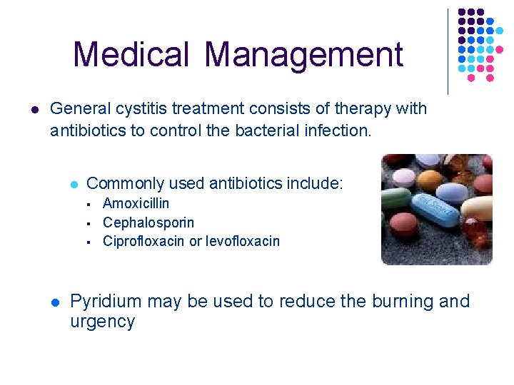 Cystitis By Stephanie Licano Etiology l Cystitis is