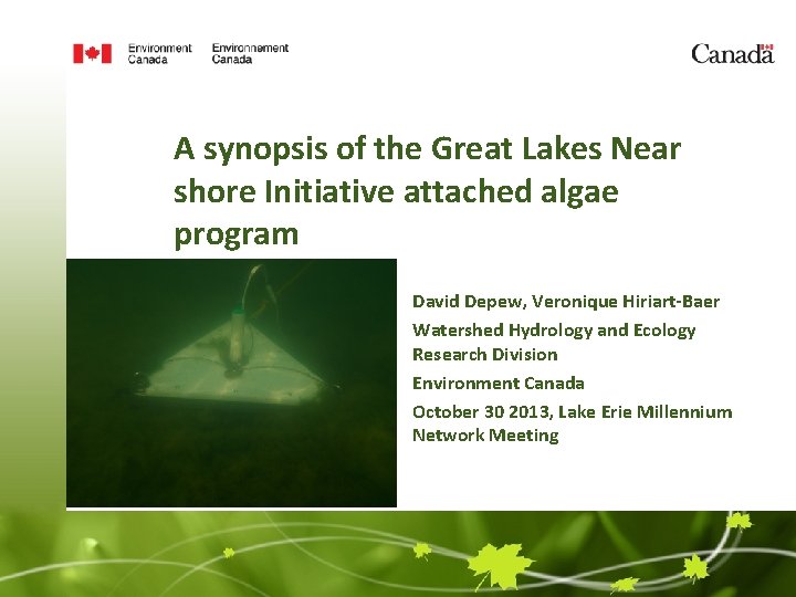 A synopsis of the Great Lakes Near shore