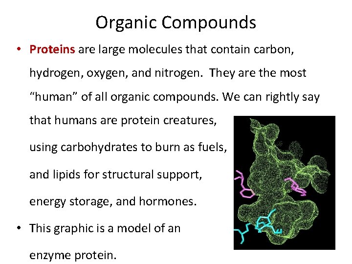 Organic Compounds Proteins are large molecules that contain