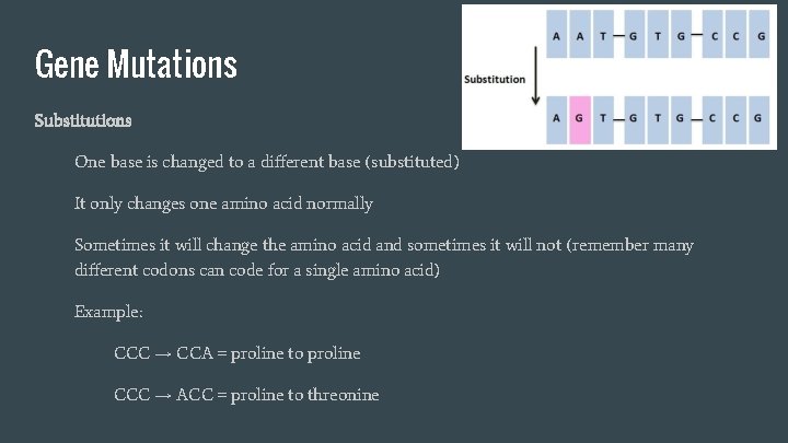 Mutations Ch 13 3 Types of Mutations Mutation