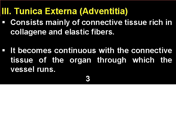 CVS Lecture 10 Structure of the Blood Vessels