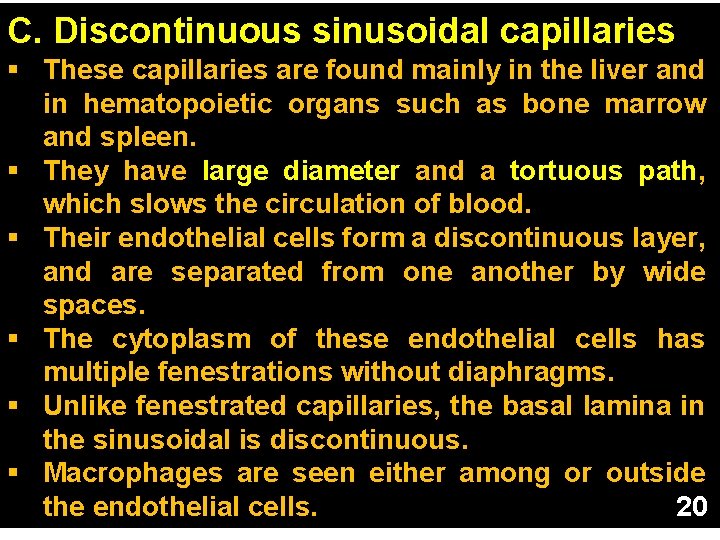 CVS Lecture 10 Structure of the Blood Vessels