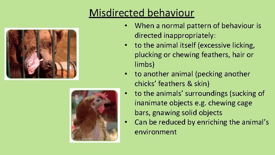 Higher Biology Chapter 18 ANIMAL WELFARE Wellbeing of