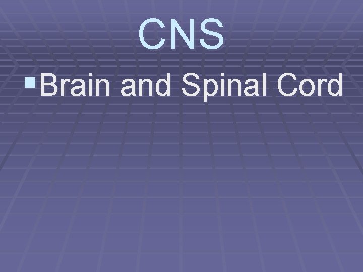 CNS Central Nervous System CNS Brain and Spinal