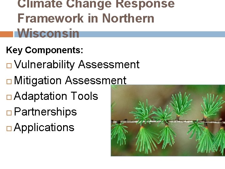 BUILDING A FRAMEWORK FOR CLIMATE CHANGE MITIGATION AND