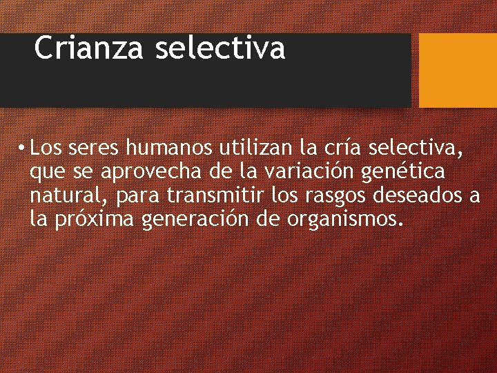 Impacto de la biotecnologa Qu es la biotecnologa