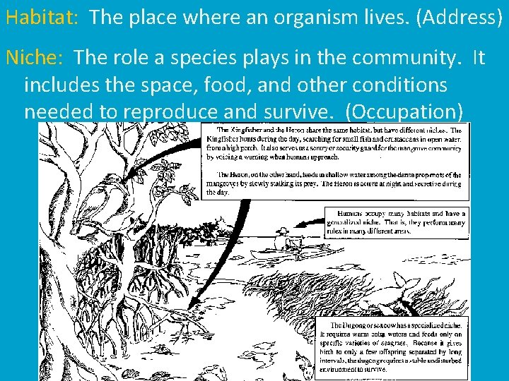 Habitat The place where an organism lives Address