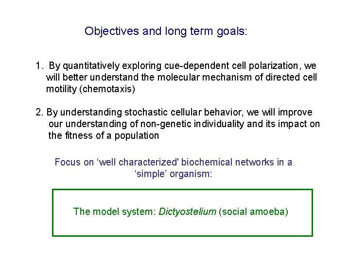 Cellular individuality in directional sensing Azadeh Samadani Brandeis