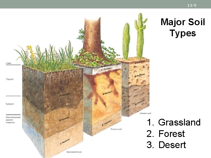 13 1 Soil Uses 2019 Mc GrawHill Education