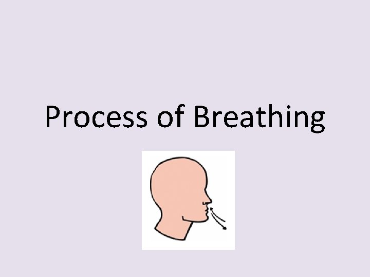 Process of Breathing 50 Pulmonary ventilation Breathing Involves