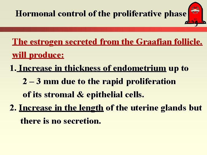 Physiology Urogenital System Genital L 5 Uterine cycle