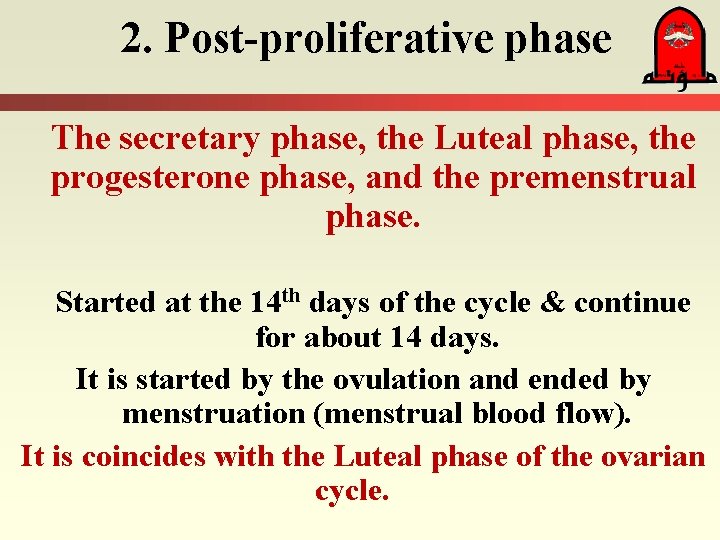 Physiology Urogenital System Genital L 5 Uterine cycle