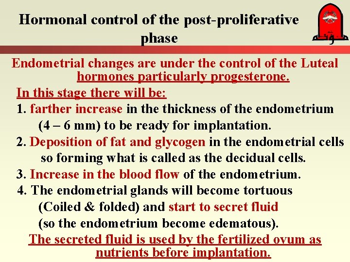 Physiology Urogenital System Genital L 5 Uterine cycle