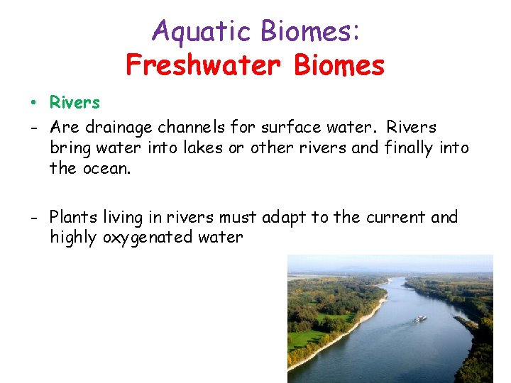 Aquatic Biomes Freshwater Biomes Lakes Bodies of water