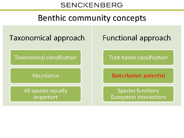 Functional versus structural long term variability of southeastern