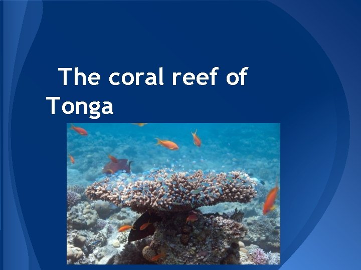 The coral reef of Tonga The Tongan Islands