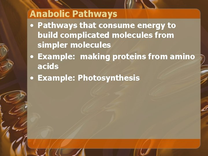 Introduction to Metabolism Ch 8 AP Biology Metabolism