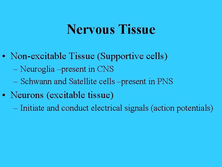 Nervous System General Principles PA 544 Clinical Anatomy