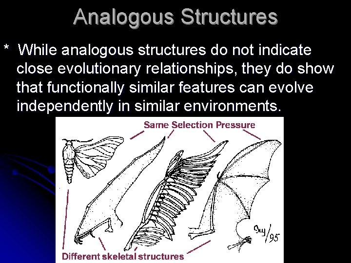 Evolution Evolution or change over time is the