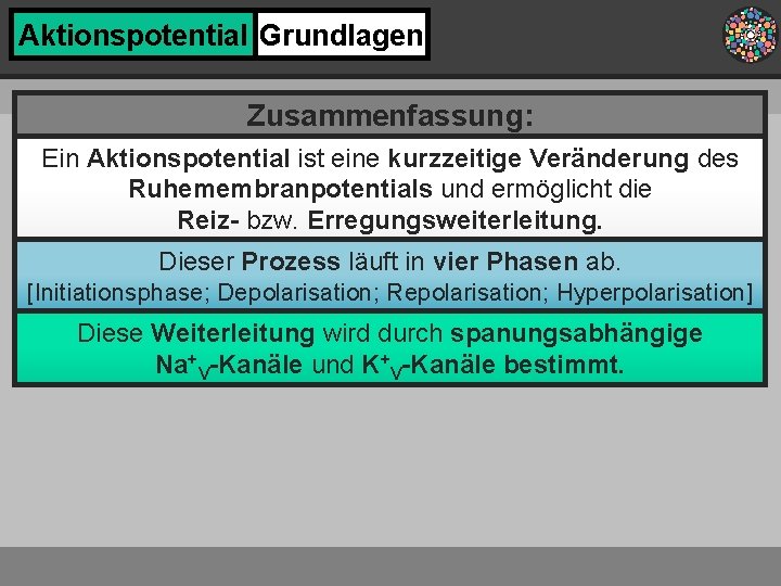 Aktionspotential Grundlagen Ein Aktionspotential AP ist eine kurzzeitige