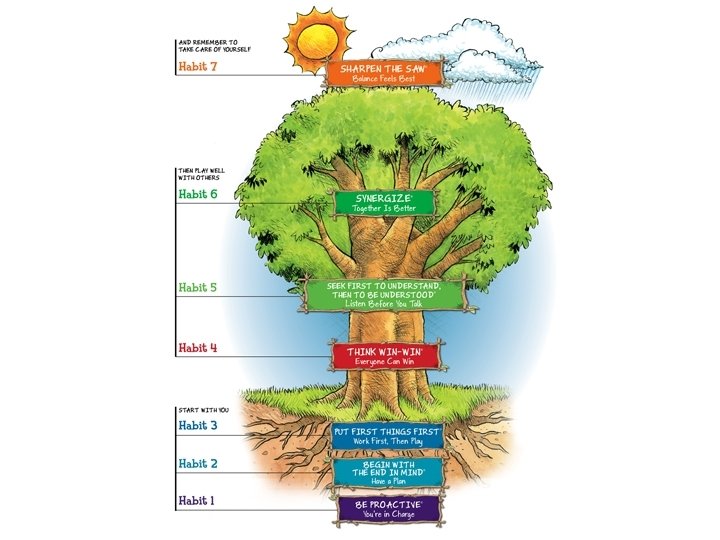 Parent Orientation Night Royal Ridge Elementary A T
