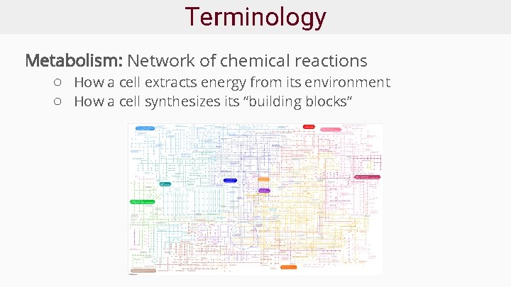 Metabolomics The Mechanism of Life The Machinery The