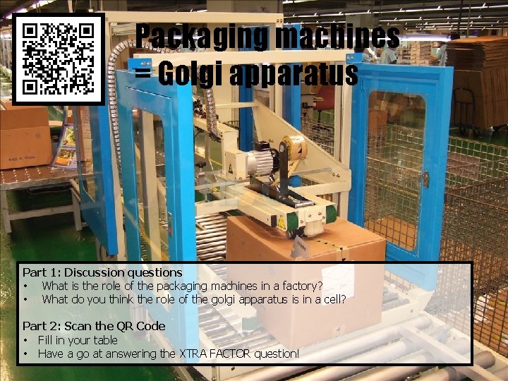 Shipping and receiving department Cell membrane Part 1