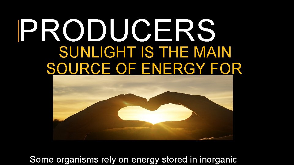 DO NOW ACTIVITY 1 State the difference between
