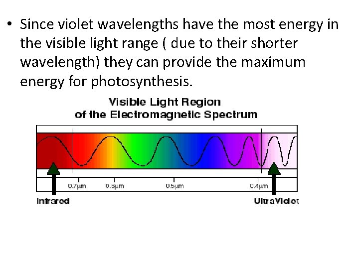 Photosynthesis Photosynthesis Cellular Respiration Energy comes from the