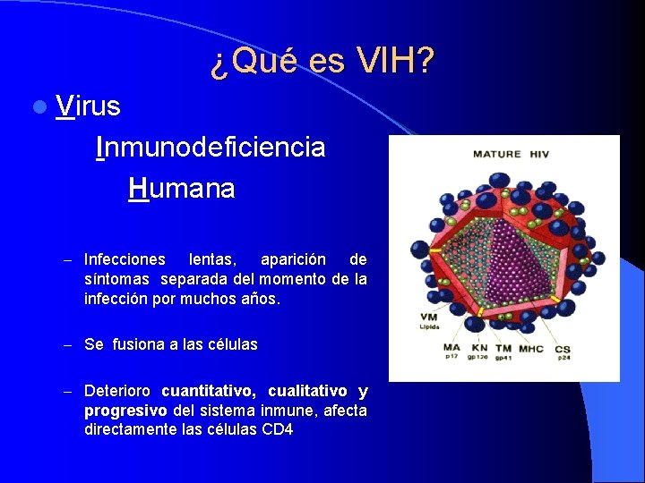 ASPECTOS BSICOS DE LA INFECCIN POR VIH Qu