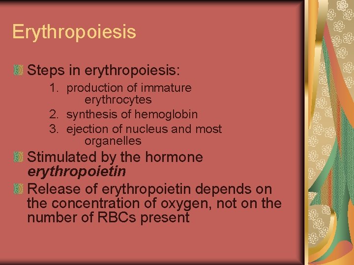 CARDIOVASCULAR SYSTEM Blood Blood Facts Blood is the