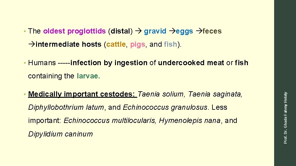 Prof Dr Ghada Fahmy Helaly Introduction to Cestodes