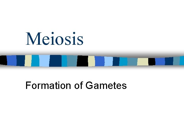 Meiosis Formation of Gametes Types of Reproduction n