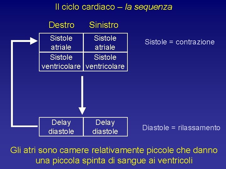 Fisiologia del cuore Il ciclo cardiaco la sequenza
