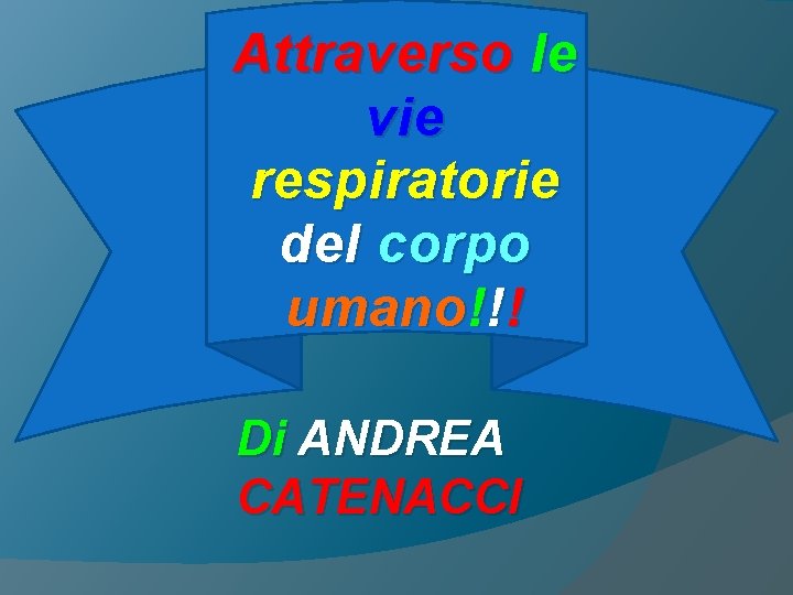 Attraverso le vie respiratorie del corpo umano Di