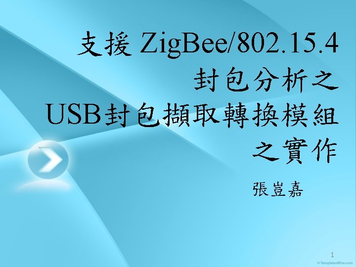 Texas InstrumentsCC 2531 TI Packet Sniffer MicroshipZENA Network