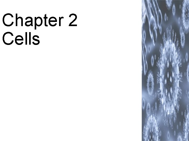 Chapter 2 Cells Learning Outcomes At the end