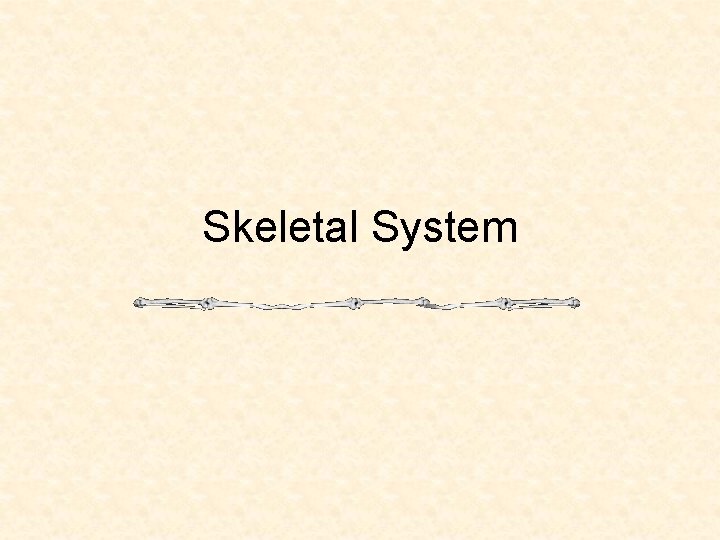 Skeletal System Types of Animal Skeletons Endoskeleton Internal