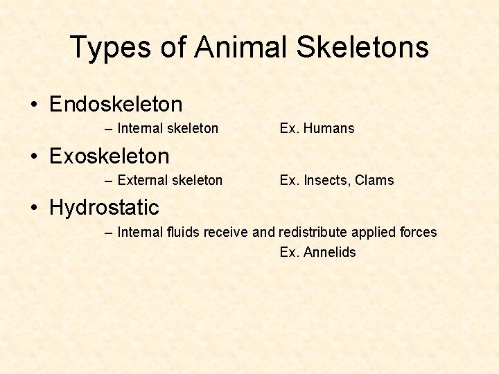 Skeletal System Types of Animal Skeletons Endoskeleton Internal