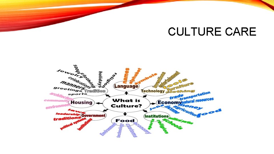 CULTURE IN PATIENT CARE Borrowed Theory Application by