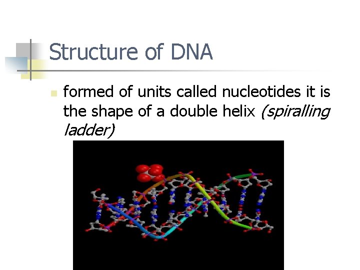 DNA The Double Helix n Recall the nucleus