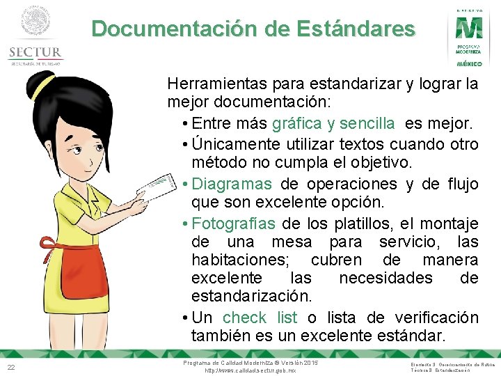 Tcnica 8 Estandarizacin de Procesos Metodologa del Programa