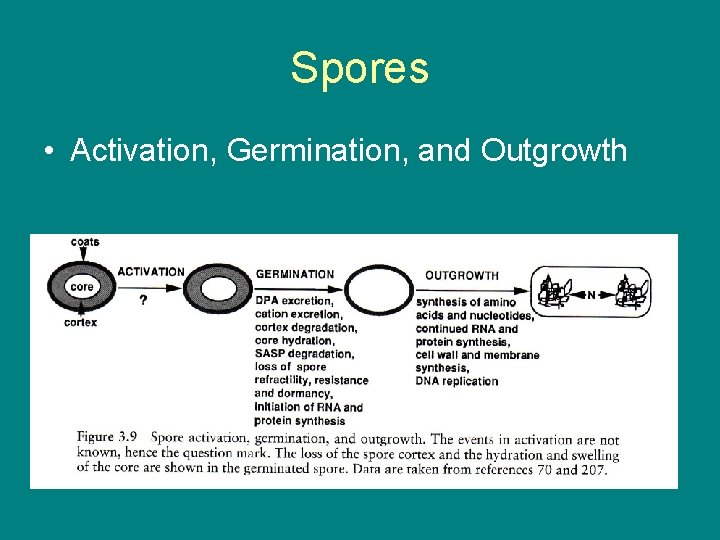 Factors Affecting Foodborne Disease Types of Foodborne Disease