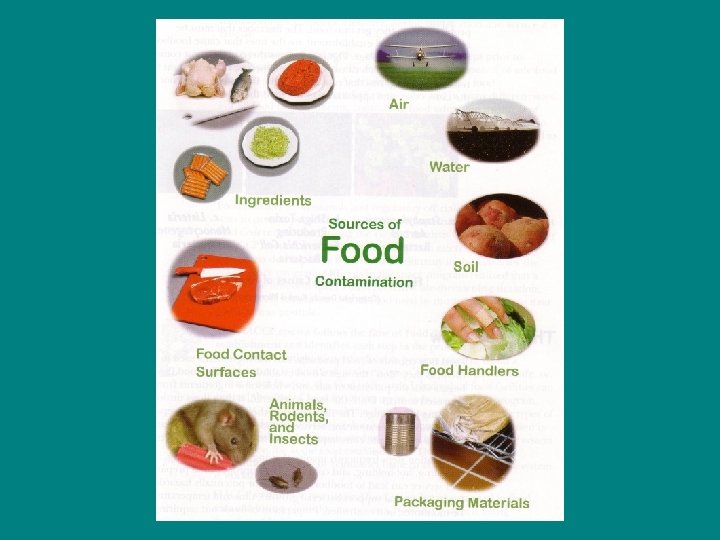 Factors Affecting Foodborne Disease Types of Foodborne Disease