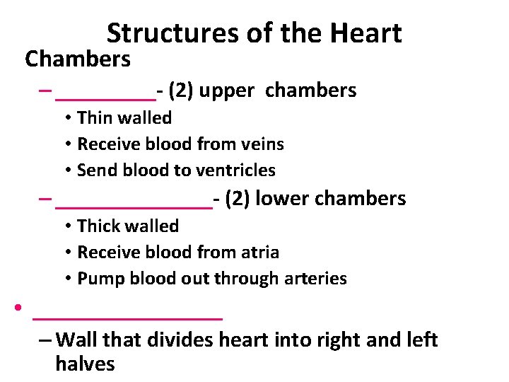 The Circulatory System Chapter 13 Lecture 1 Blood