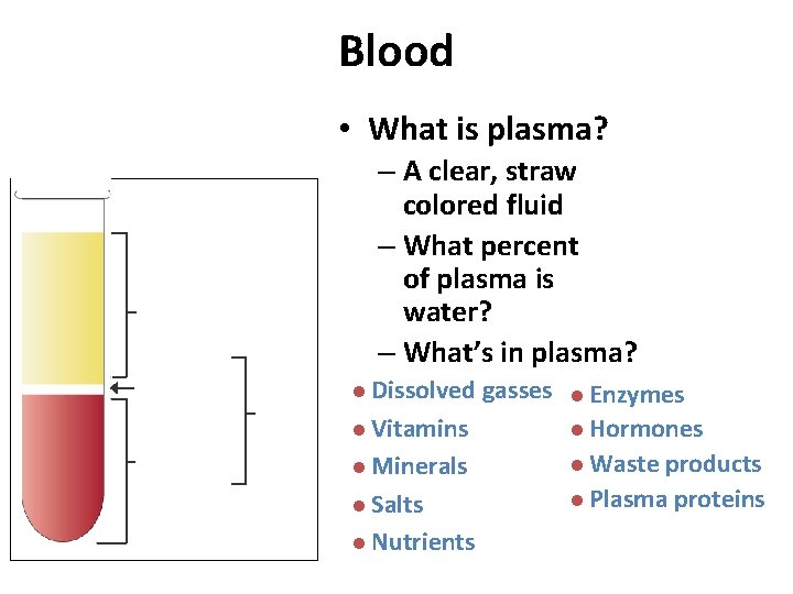The Circulatory System Chapter 13 Lecture 1 Blood