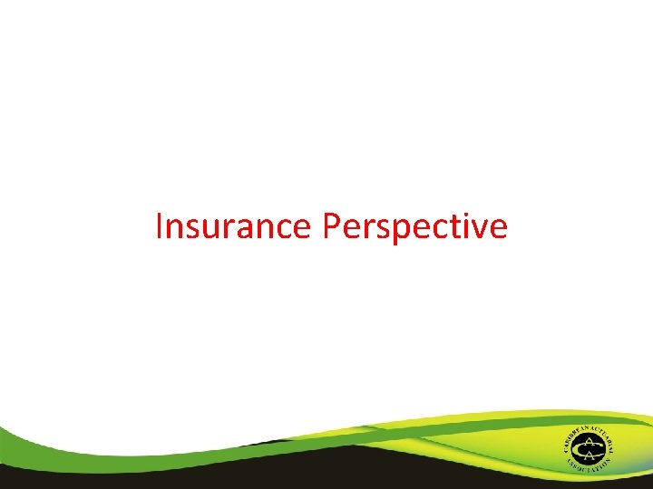 Caribbean Actuarial Association 28 th Annual Conference Jamaica