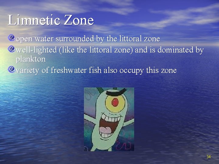 Biomes Global Patterns of Life 1 Terrestrial Biomes