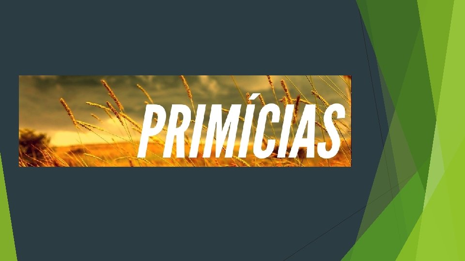 HONRANDO A DIOS CON LAS PRIMICIAS Honra a